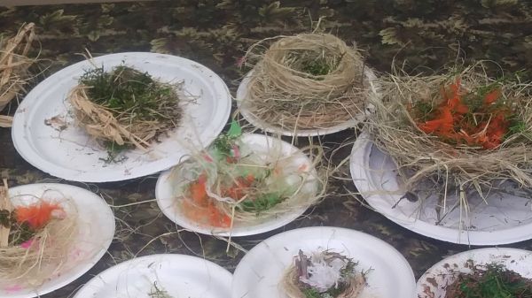 E-STEM in the Classroom: Building Bird Nests | eePRO