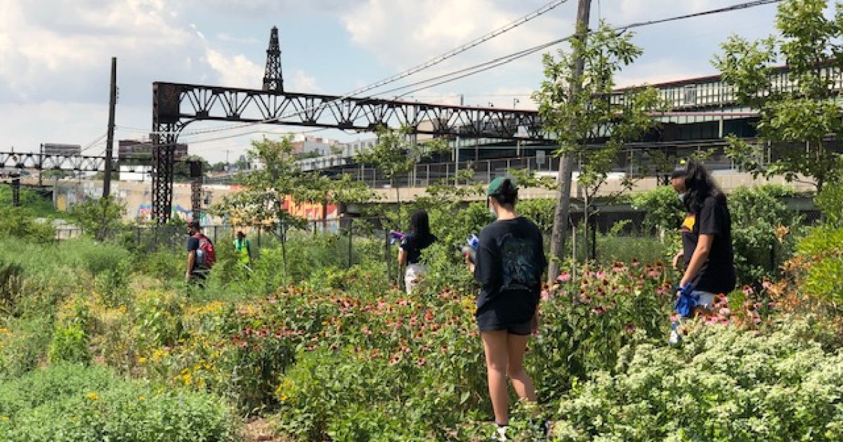 EELS in the Bronx River: A Virtual Internship Shaping Students for a ...