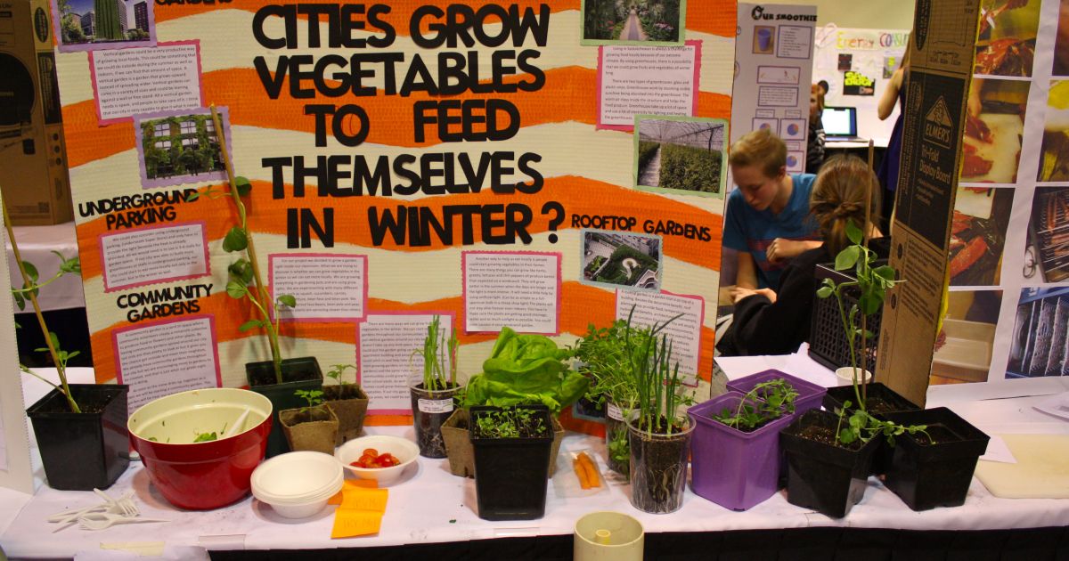 Whole School Approaches to Climate Change Education | eePRO