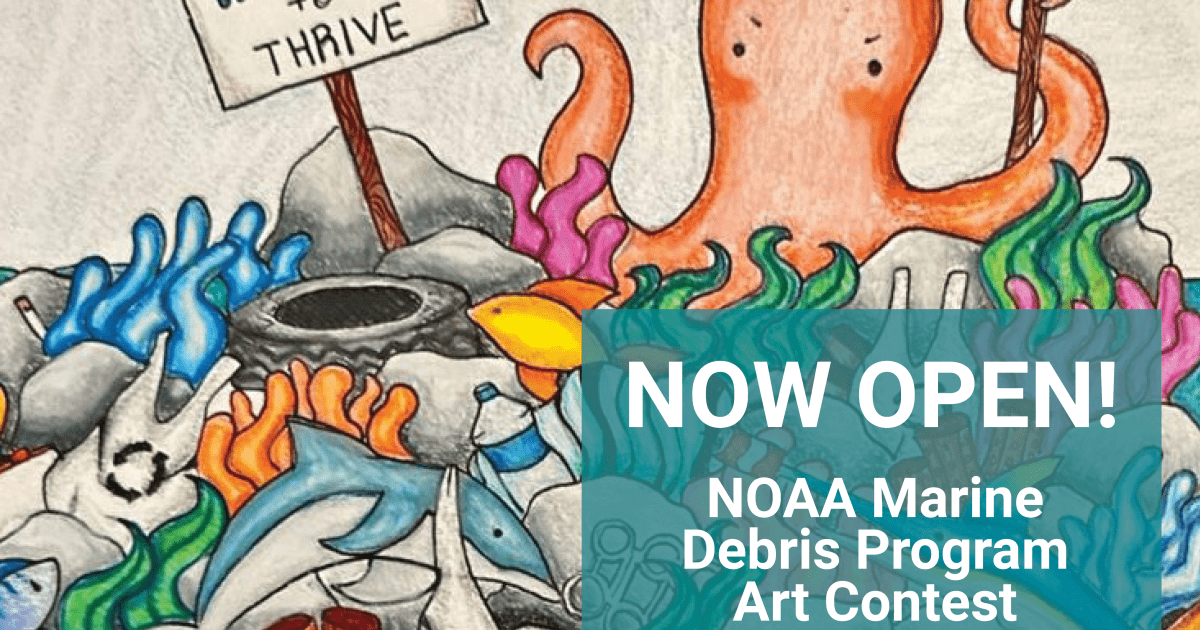 NOAA Marine Debris Program Art Contest | eePRO