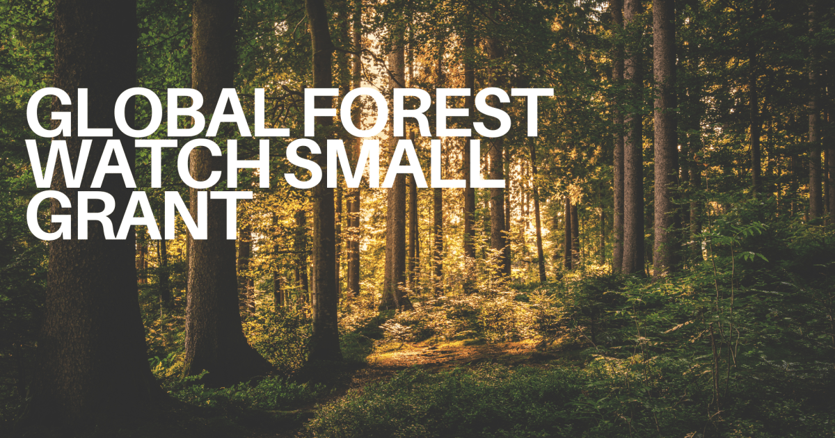 Global Forest Watch Small Grants Fund | eePRO