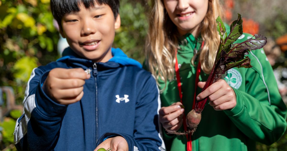 IslandWood Graduate Program in Education for Environment and Community ...