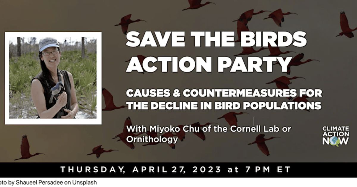 Save the Birds Action Party | eePRO