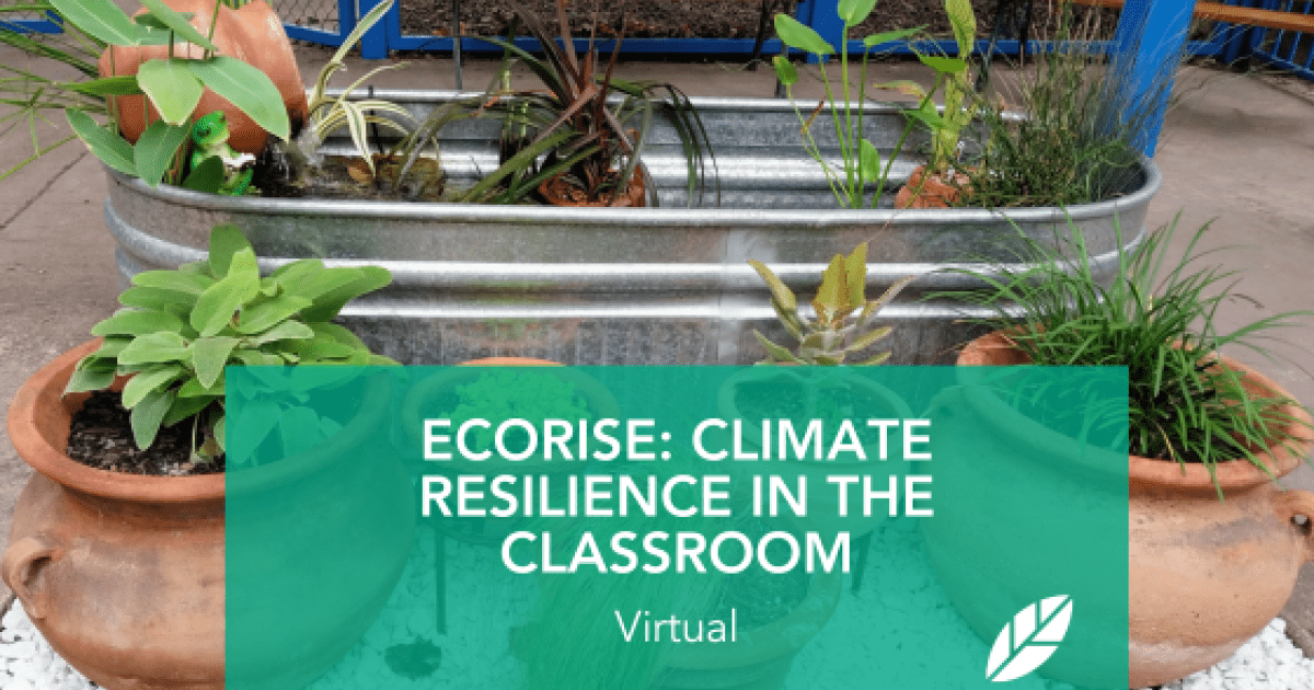 EcoRise: Climate Resilience in the Classroom Workshop | eePRO