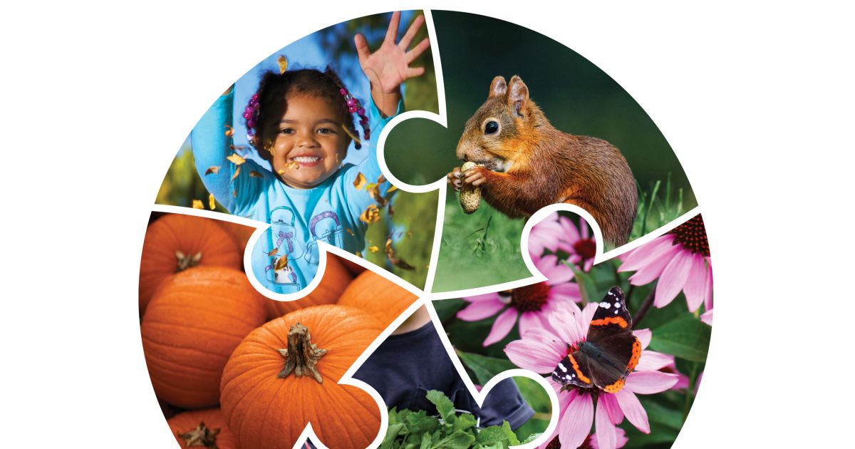 International Journal of Early Childhood Environmental Education ...