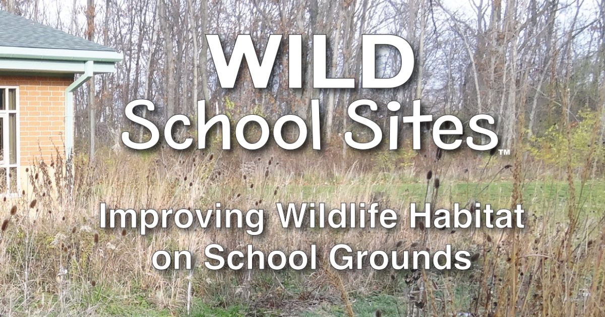 WILD School Sites: Improving Wildlife Habitat on School Grounds | eePRO