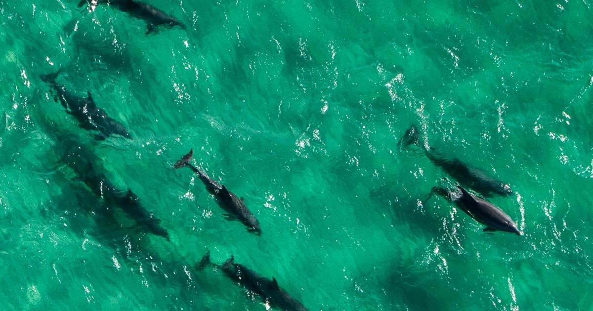 Visual Glossary of Ocean Terminology | eePRO