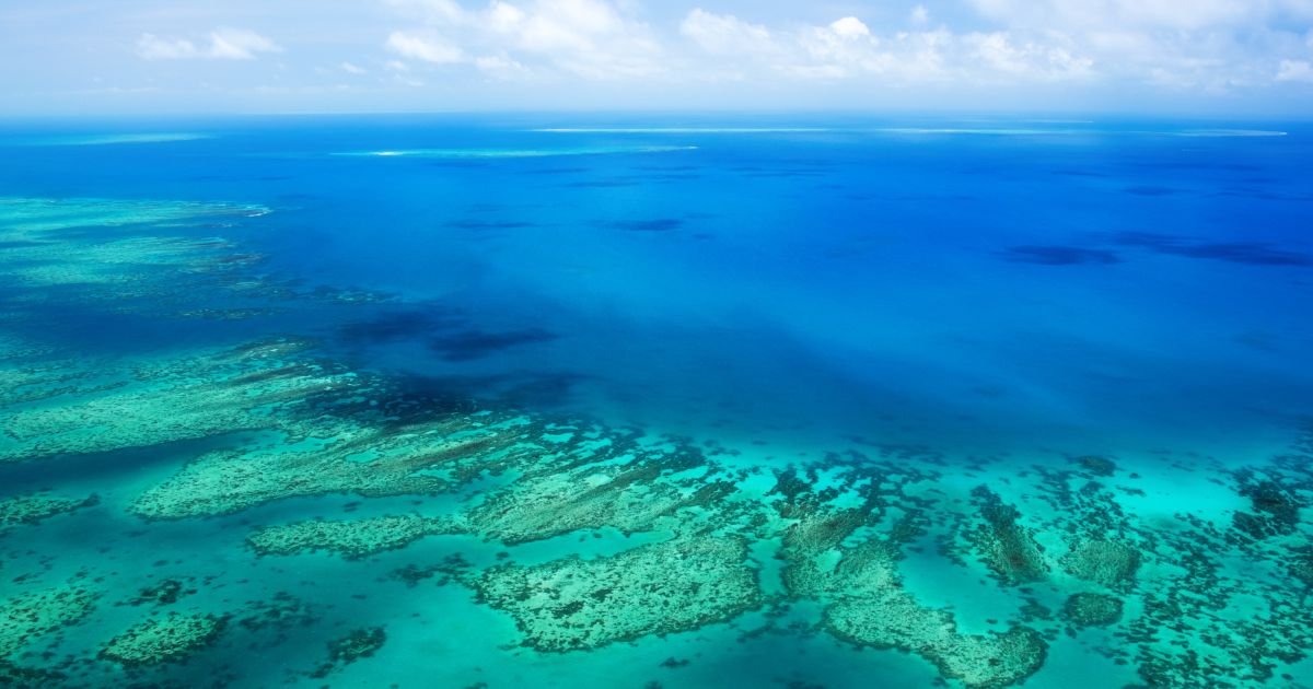 Create Your Own Aquarium Activity for K–12 | eePRO