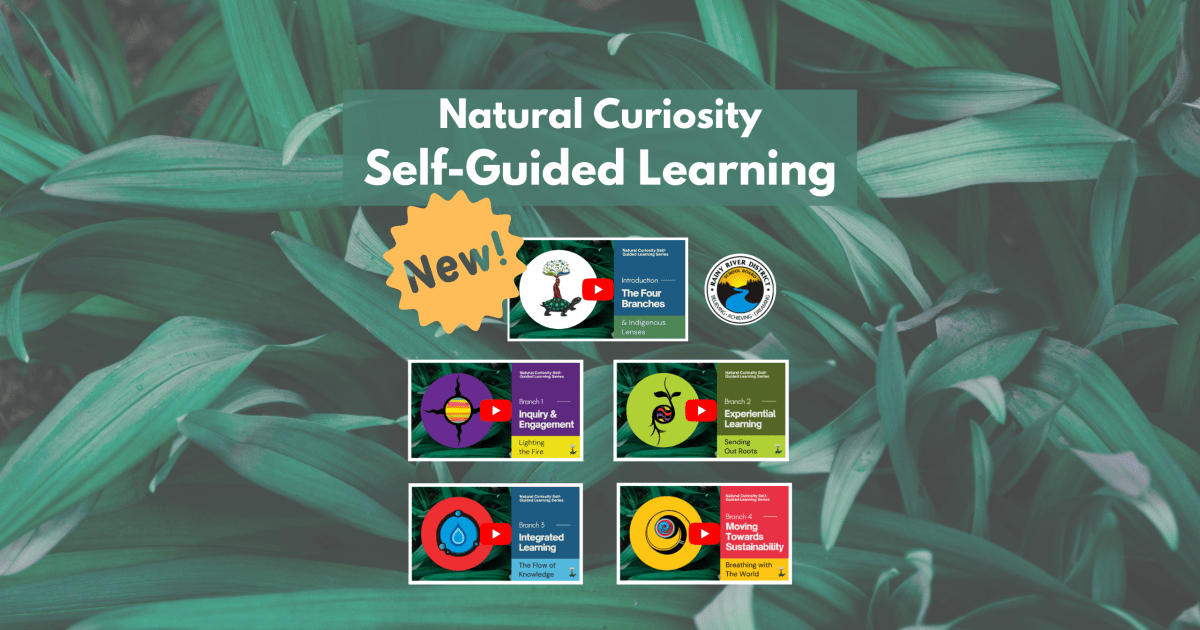 Natural Curiosity Self-Guided Learning Series | eePRO Natural Curiosity Self-Guided Learning Series | eePRO