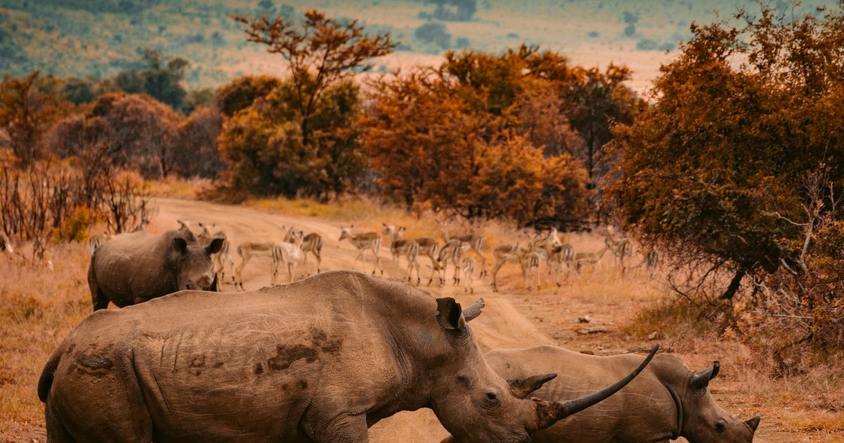 Project Planning for Wildlife Conservation | eePRO